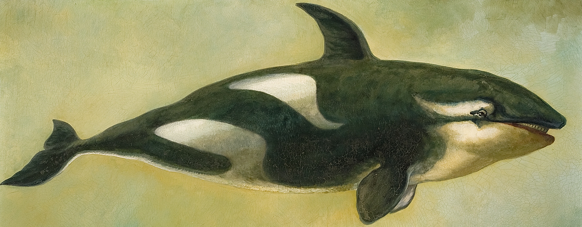 Efeméride | Nascimento de Mário Lyster Franco